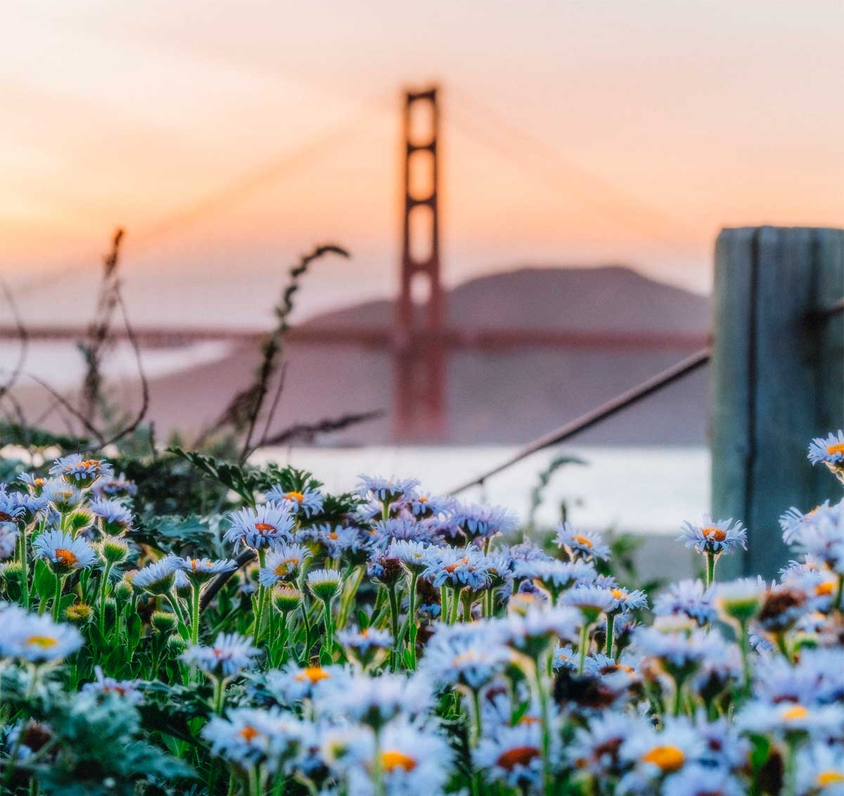 Qué ver en el Golden Gate Park - Dreaming California
